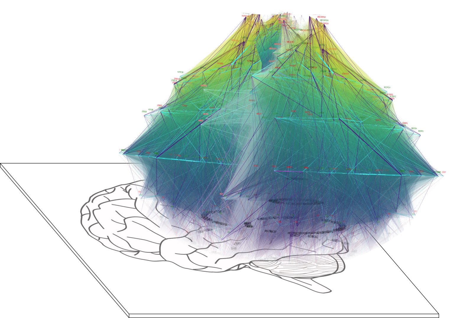 4C Computational Psychiatry Lab – UW–Madison
